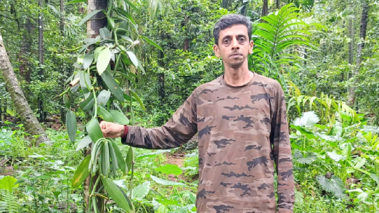 This Goa Farmer Earns Rs. 15 Lakh Annually from Vanilla Farming on Just ...