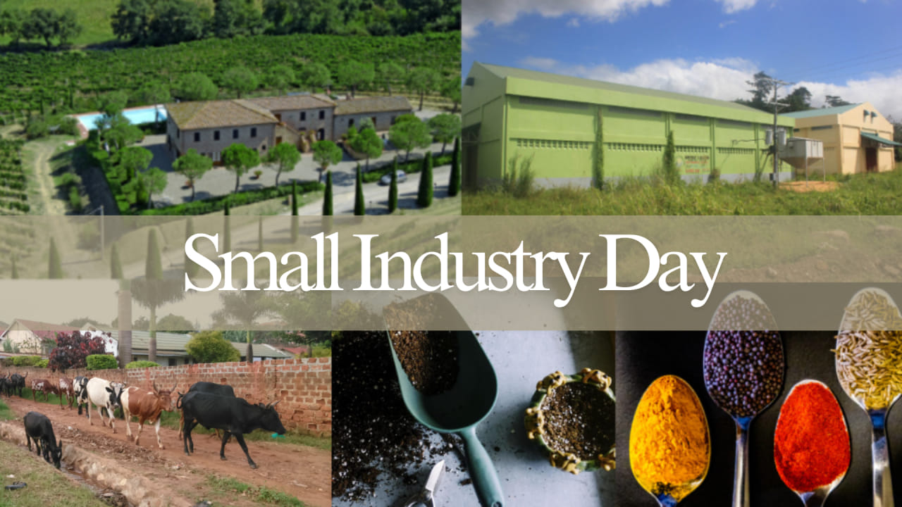 Celebrating Small Industry Day: Spotlight on Major Agri-Based Industries