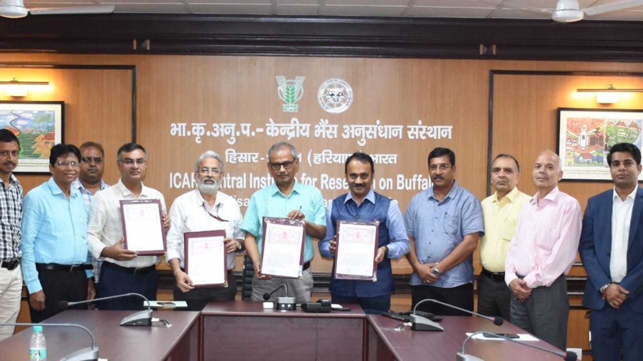 ICAR-CIRB Develops Urine-Based Pregnancy Test for Ruminants, Signs MoU ...