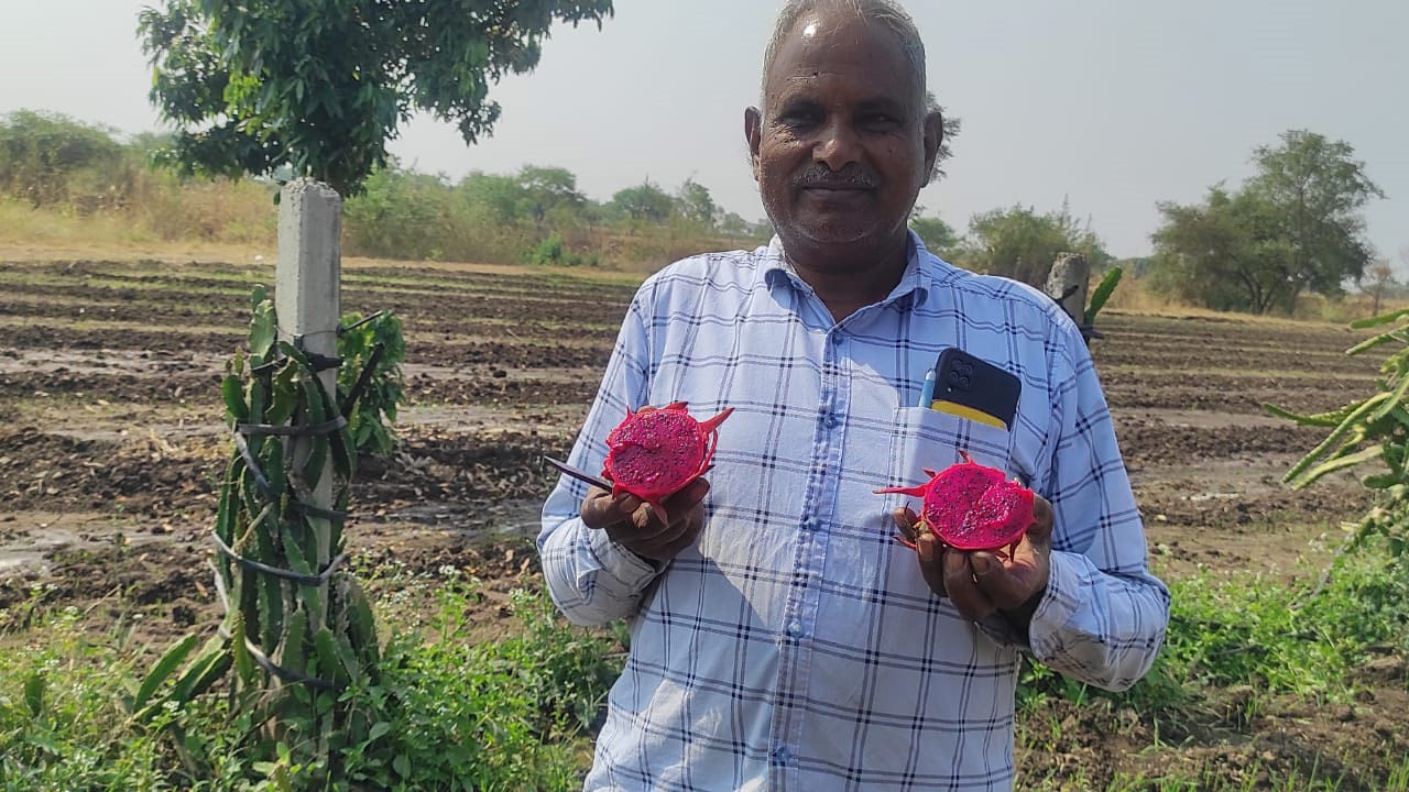 Self-Made Millionaire Farmer from MP Earns Rs. 50 Lakh Annually Through ...