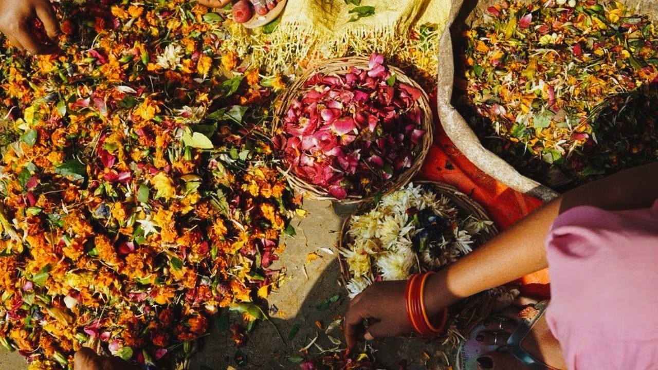 Temple Flower Waste: From Stink to Fragrance