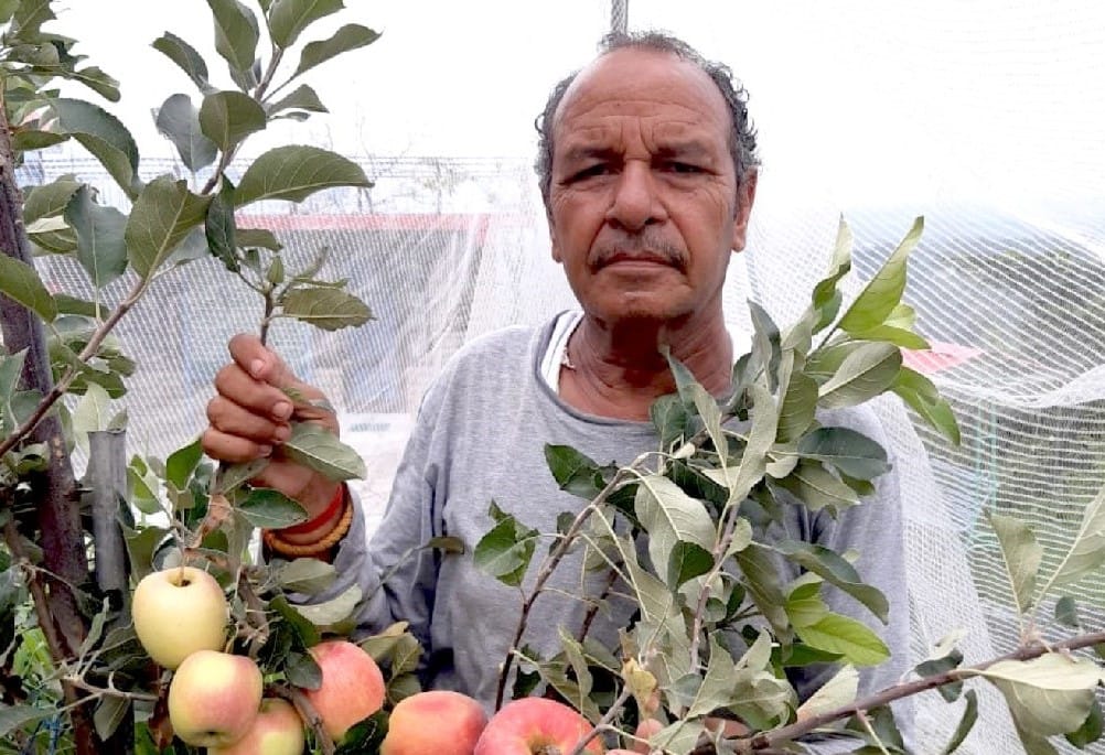 1 Man, 41 Awards, and a 68-Year Journey: A Tale of Successful Apple ...
