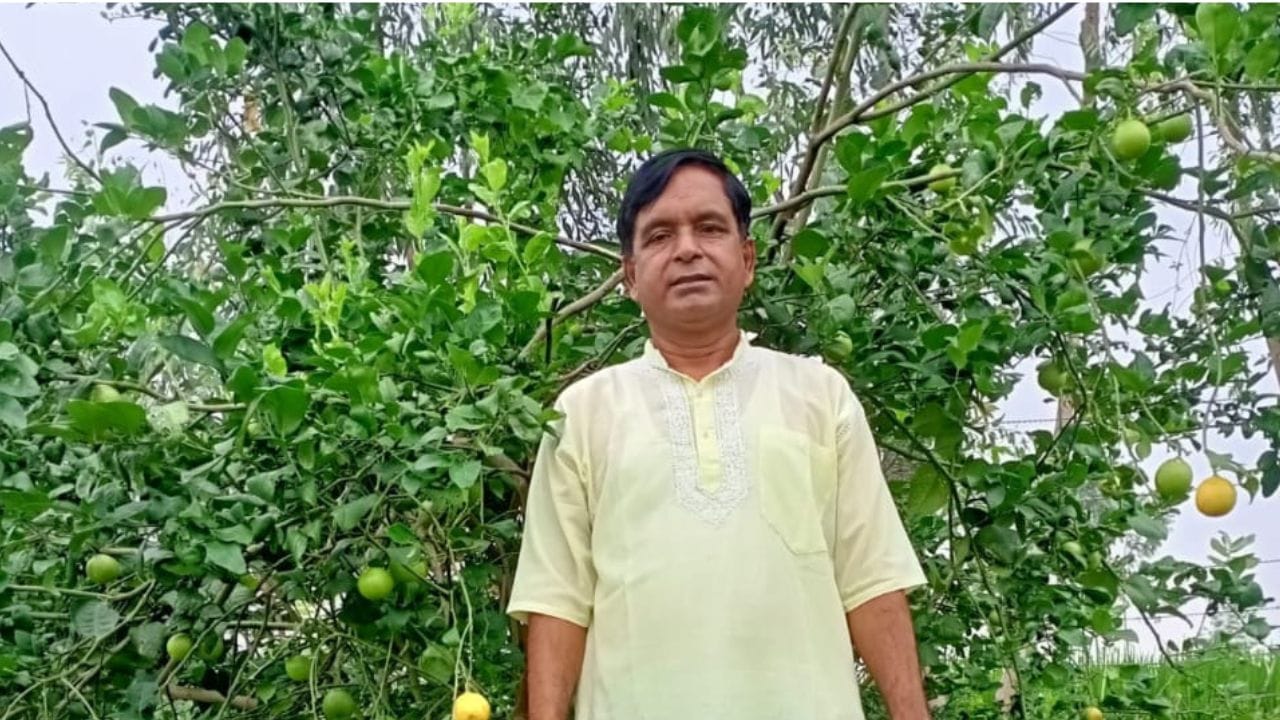 Lemon Man of Uttar Pradesh Exports Lemons Abroad, Earns 7 Lakhs Per Harvest