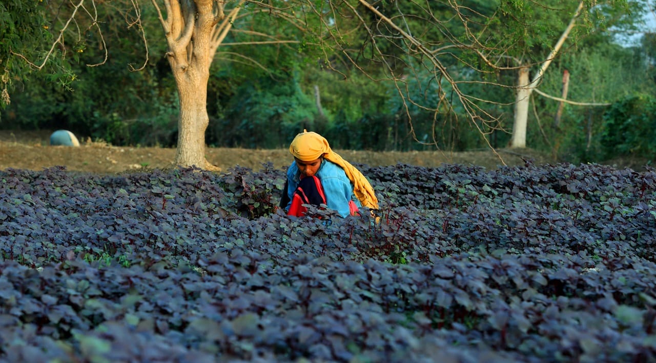 Corteva Agriscience's Bold New Program to Drive 2 Million Women to the ...