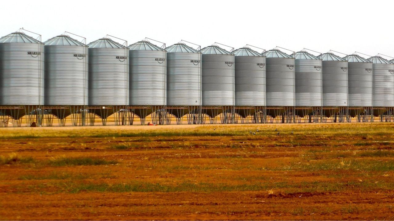 FCI Enhances Food Grain Storage and Security with New Silo Projects ...