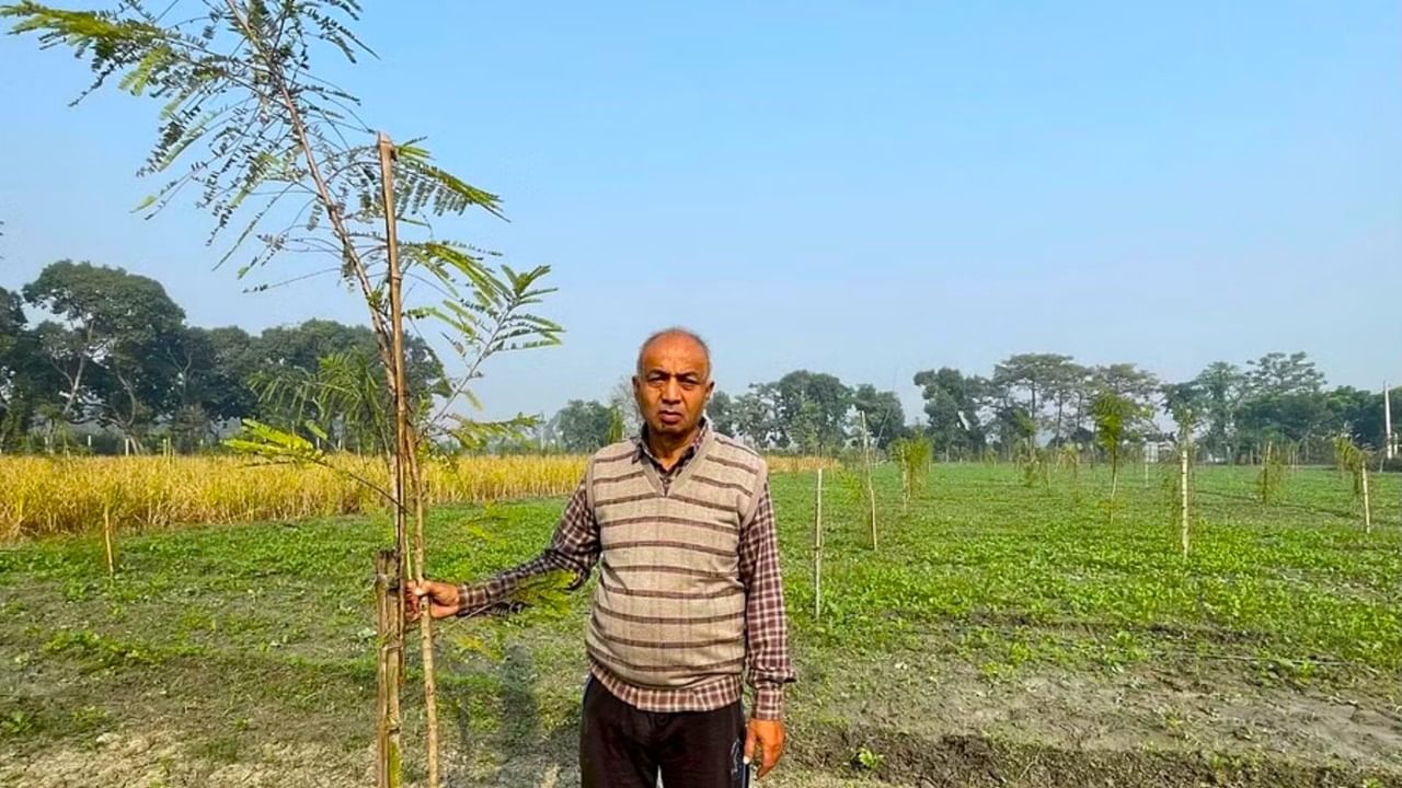 Crop Diversification and Modern Techniques Help Bihar Farmer Earn an ...