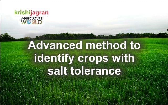 Advanced method to identify crops with salt tolerance