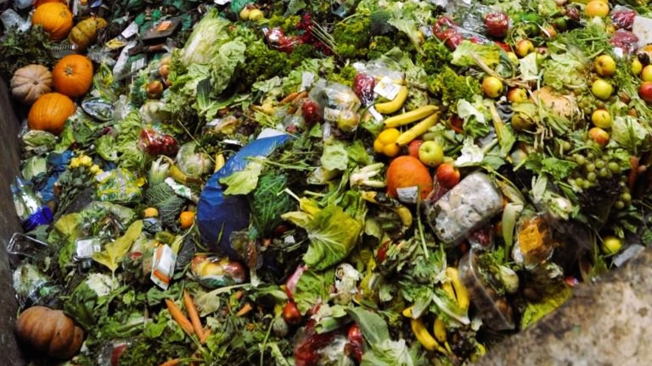 How Businesses Can Take the Lead in Minimising Food Waste?