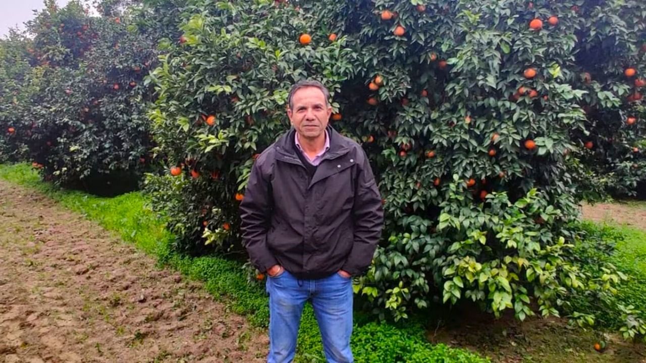 Punjab Farmer Grows 200 Quintals of Kinnow per Acre, Earning Rs 37 Lakh ...