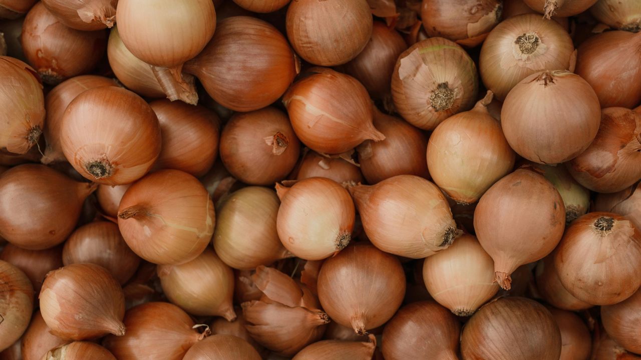 Second Bulk Onion Shipment Arrives in Delhi: Stock to Boost Supply at ...