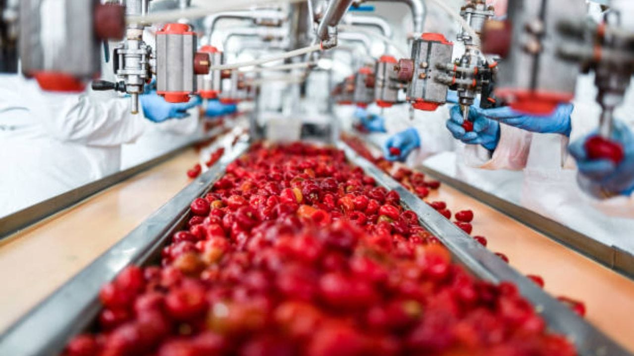 Food Processing Sector: A Key Driver of India's Economic Growth and ...