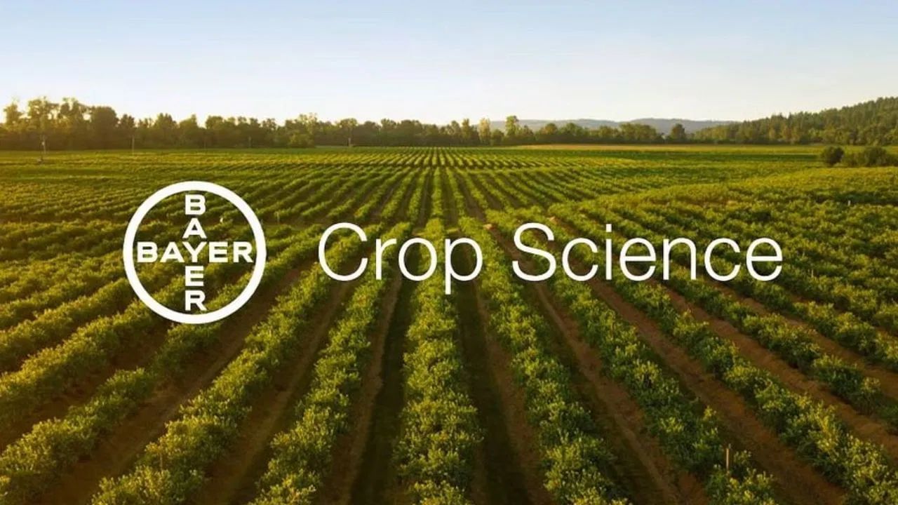 Bayer CropScience Reports Q2 Results for FY 2024-25, Registers 7% ...