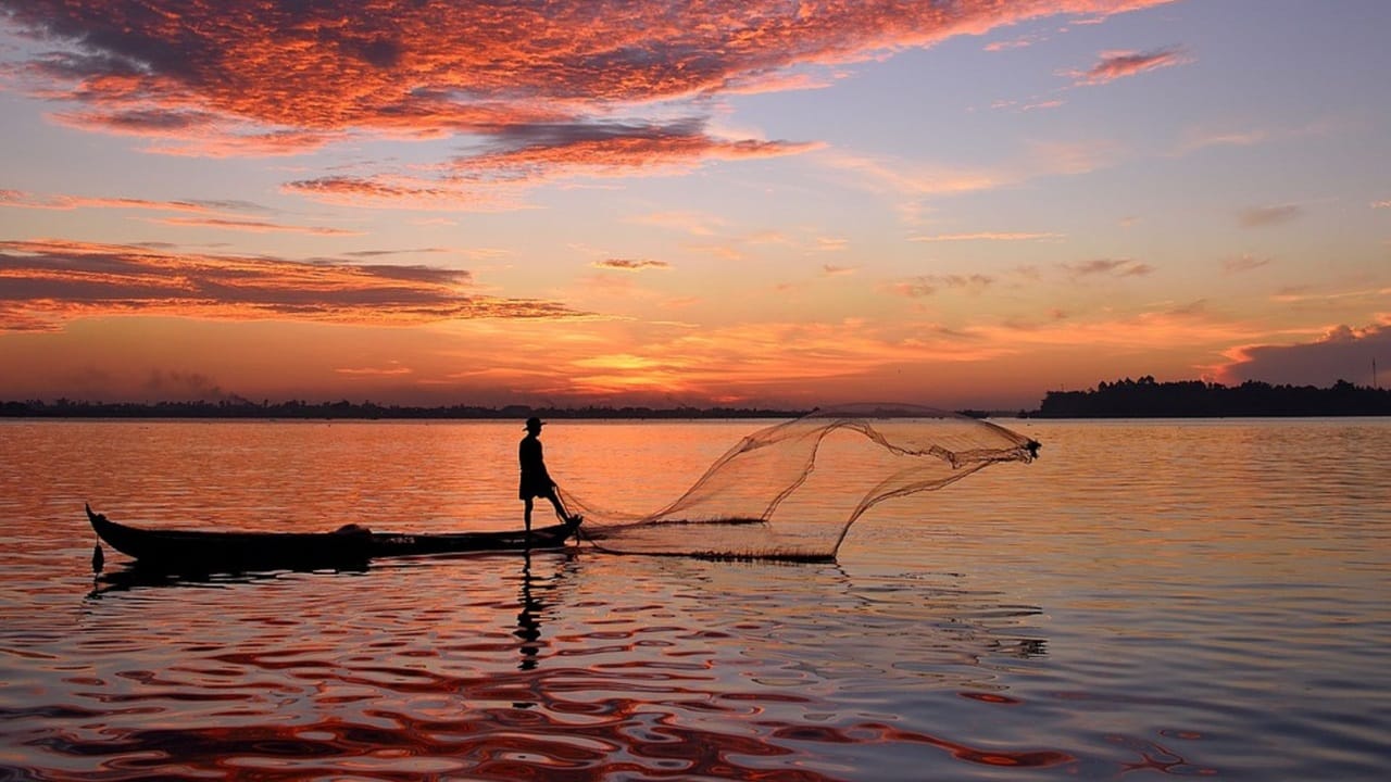 World Fisheries Day 2024: History, Significance, and the Journey Toward ...