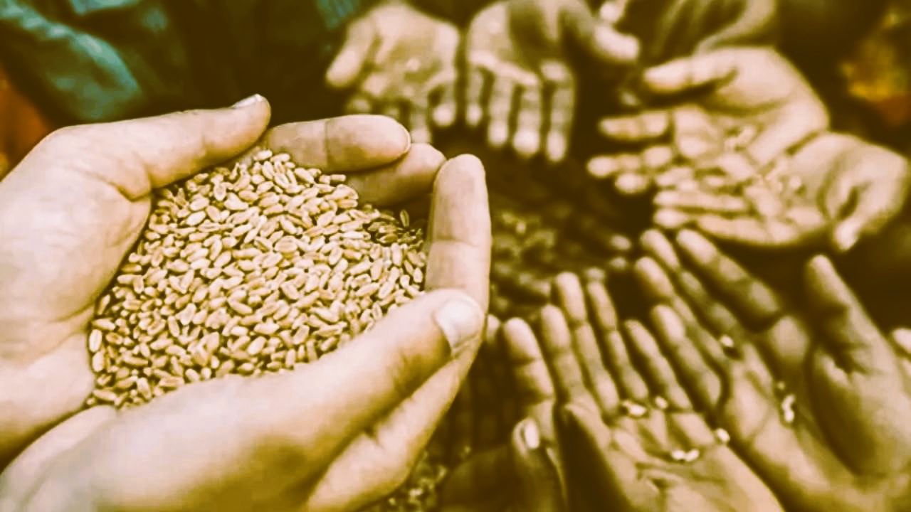 Building Resilient Food Systems for a Sustainable Future – Green Reporter