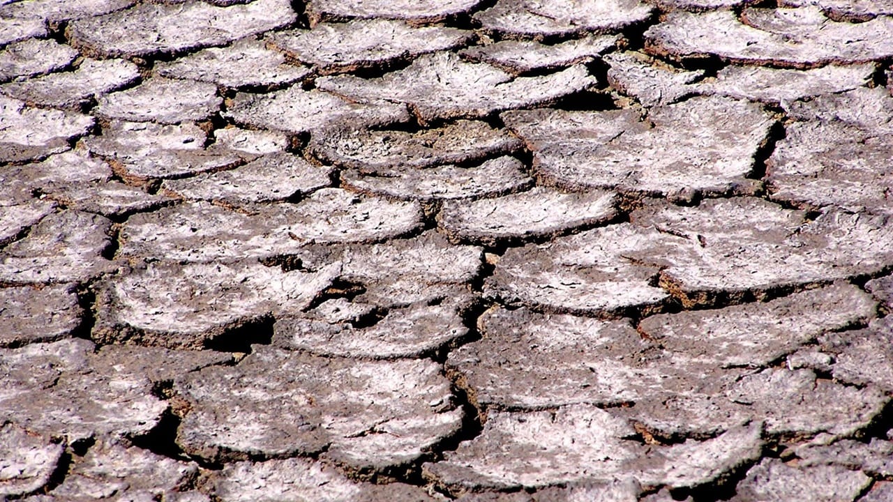1.4 Billion Hectares of Land Impacted by Salinity Threatening Food ...