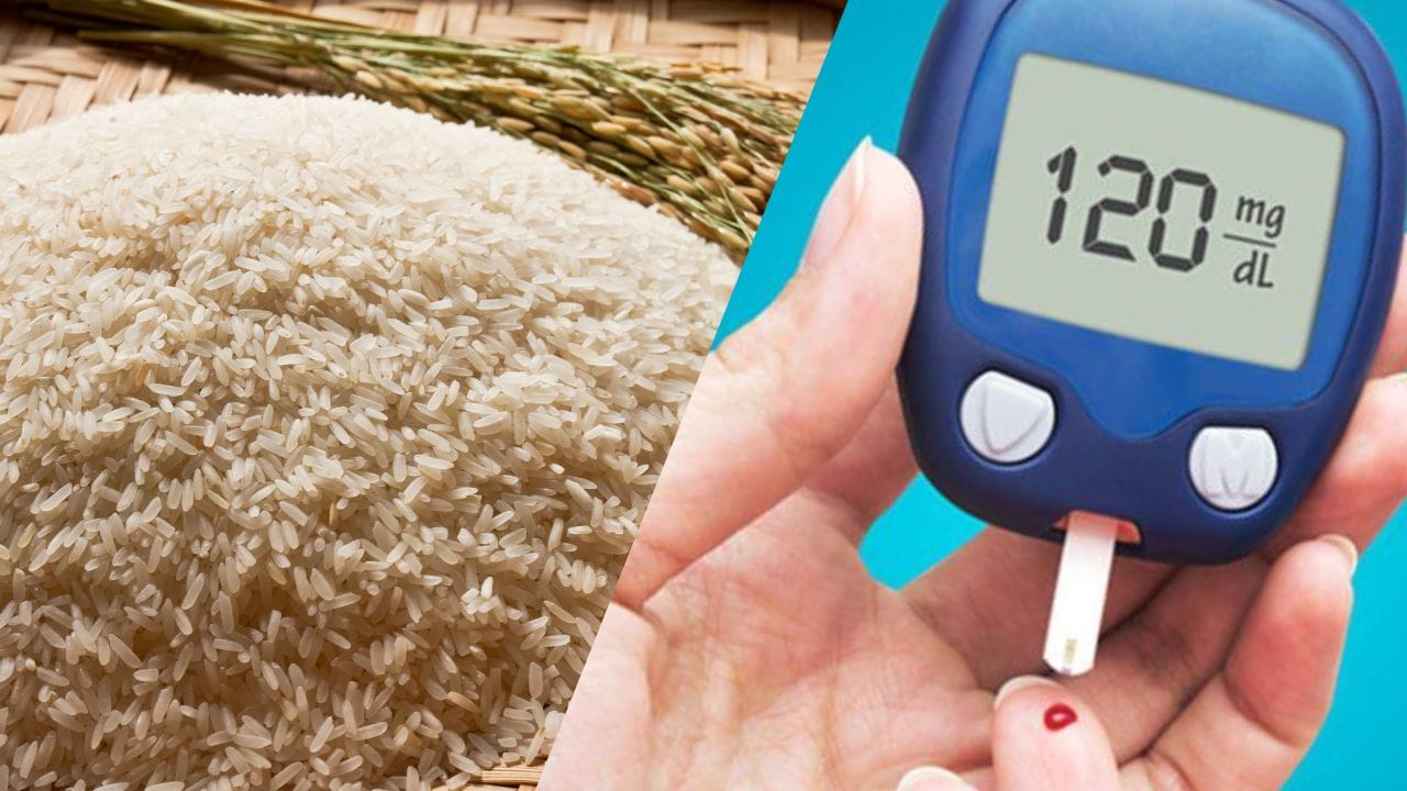 Low GI Rice Can Curb Asia's Diabetes Epidemic and Enhance Farmers ...