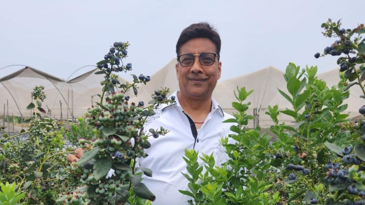Sheel Biotech Ltd: Pioneering Sustainable Agricultural and ...