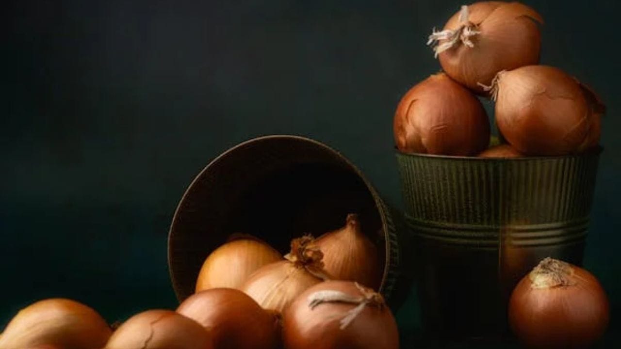 Pusa Shobha: Transforming Onion Farming for Farmers with Value Addition ...