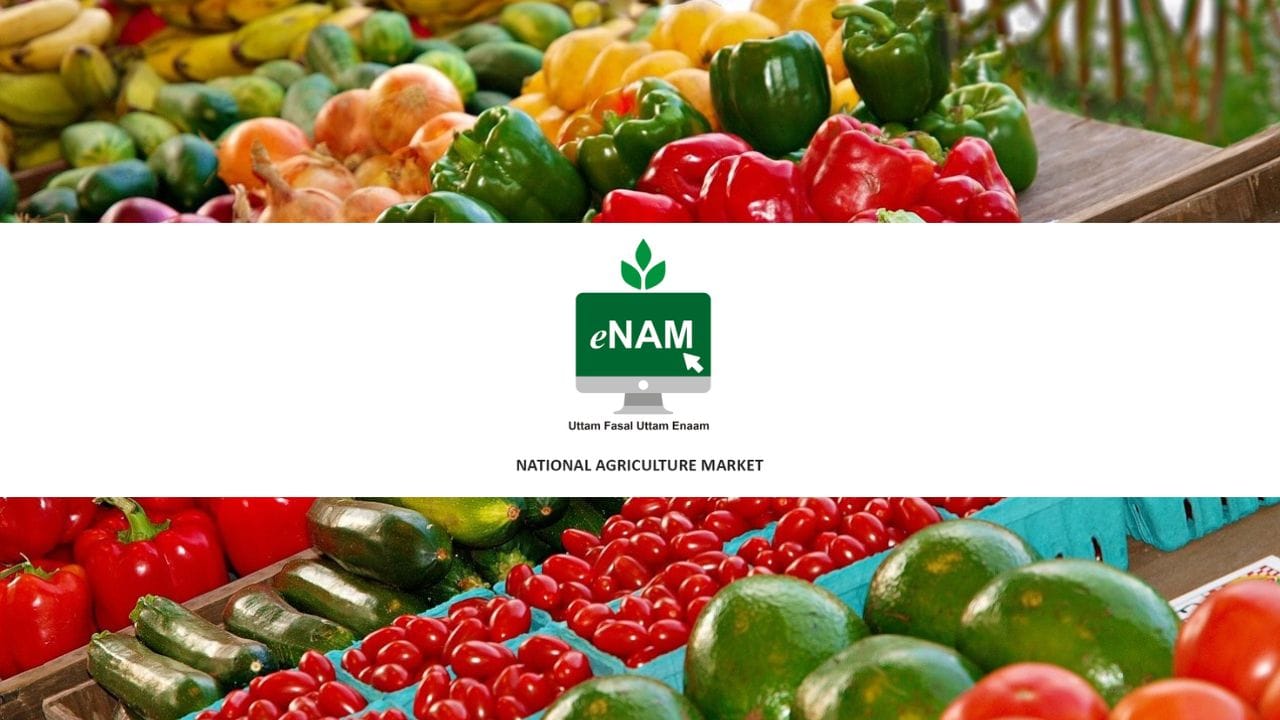 e-NAM Expands Trading Scope with 10 New Commodities, Bringing Total to 231