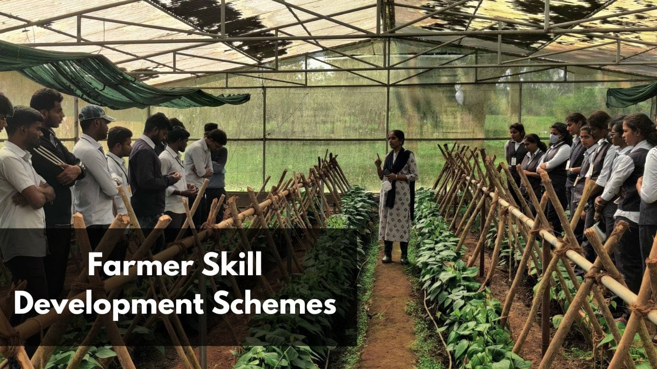 Skill Development Schemes for Farmers and Rural Youth Driving ...
