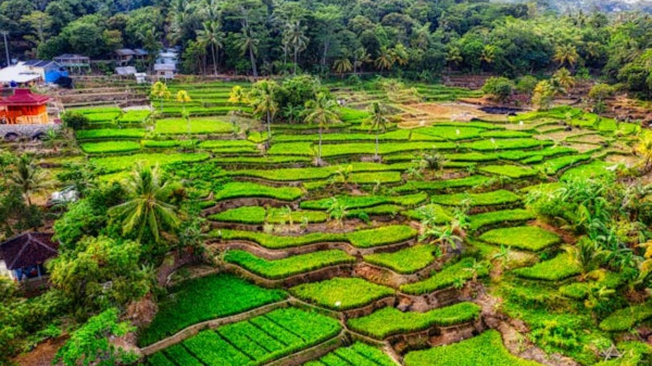 Building a Resilient Future through Sustainable Farming: Key Crops and ...