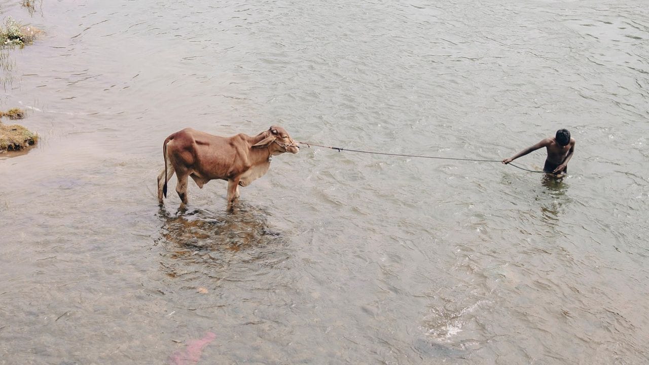 Good News for Bihar Farmers! Kosi Mechi Intra-State Link Project Worth ...