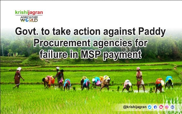 Govt. to take action against Paddy Procurement agencies for failure in ...