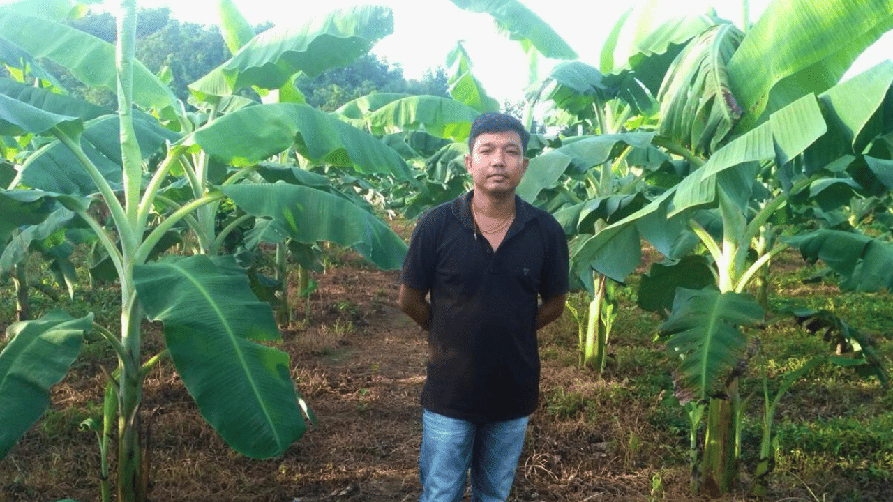 From Soil to Success: How an Assam Farmer Turned Banana Farming into a ...