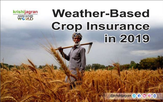 Weather-Based Crop Insurance in 2019