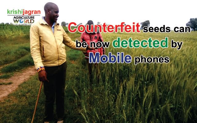 Counterfeit seeds can be now detected by Mobile phones