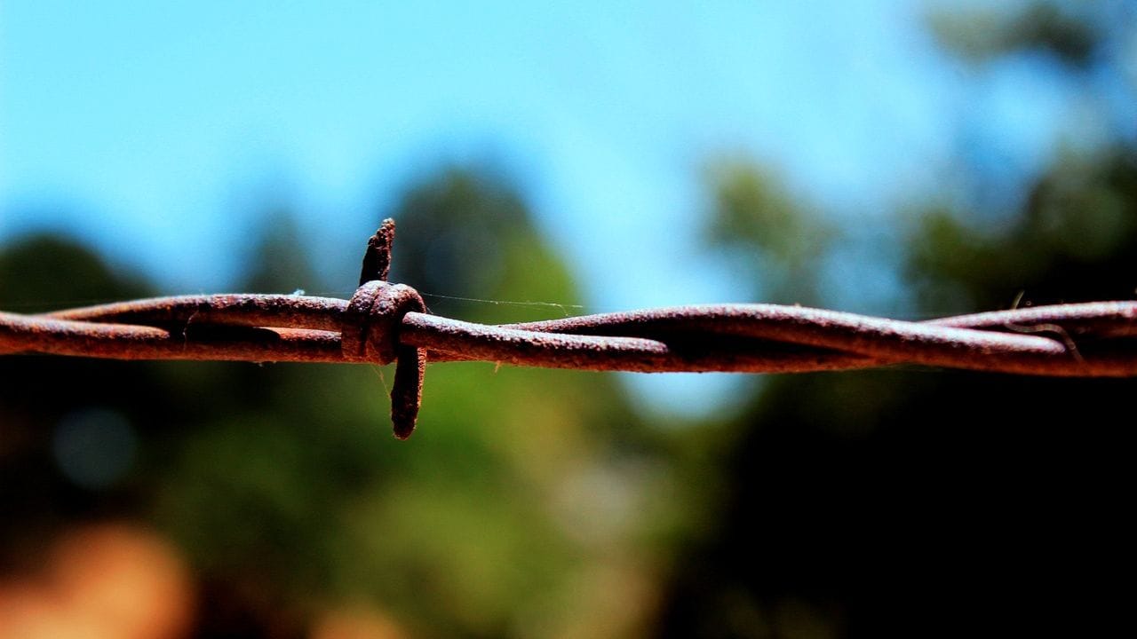 Breath of Life & War Against Tetanus: Ventilation Mode Consciousness ...