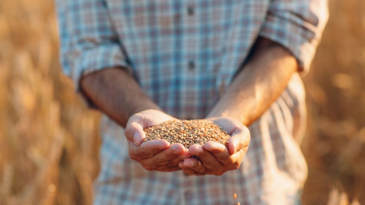 NCOL Offers Price Premiums, Market Access to Ensure Better Income for ...