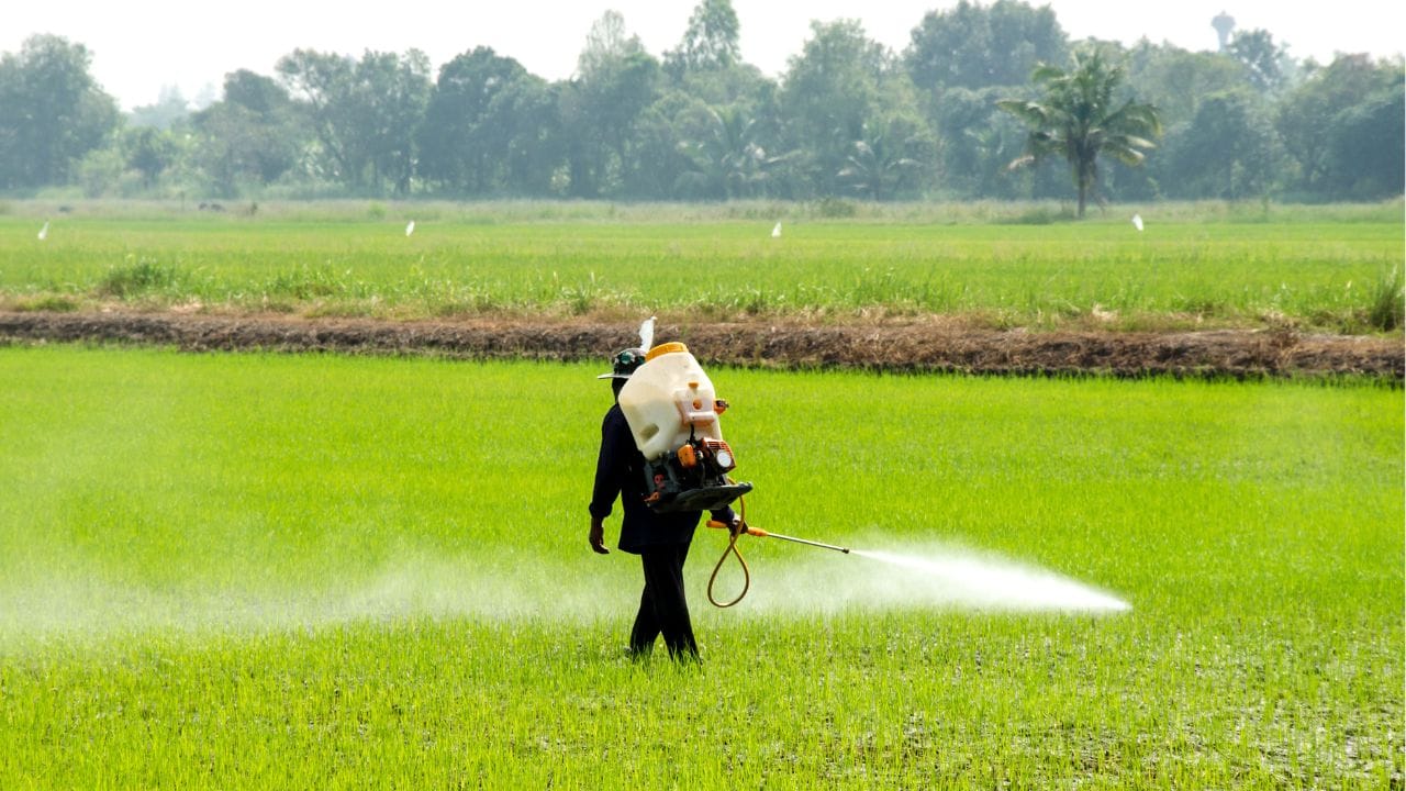 Big Relief for Chemical Industry: Government Extends Export Obligation ...