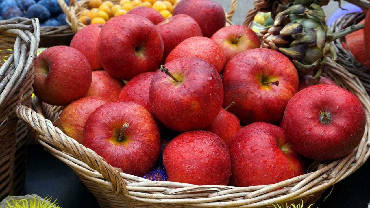 International Eat an Apple a Day: A Juicy Celebration of Health ...