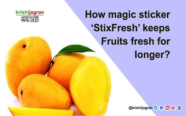 How magic sticker ‘StixFresh’ keeps Fruits fresh for longer?