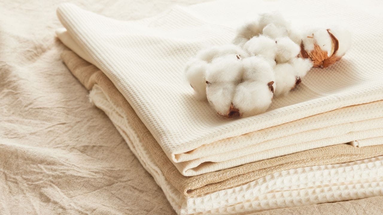 World Cotton Day 2025: History, Significance, and Interesting Facts ...
