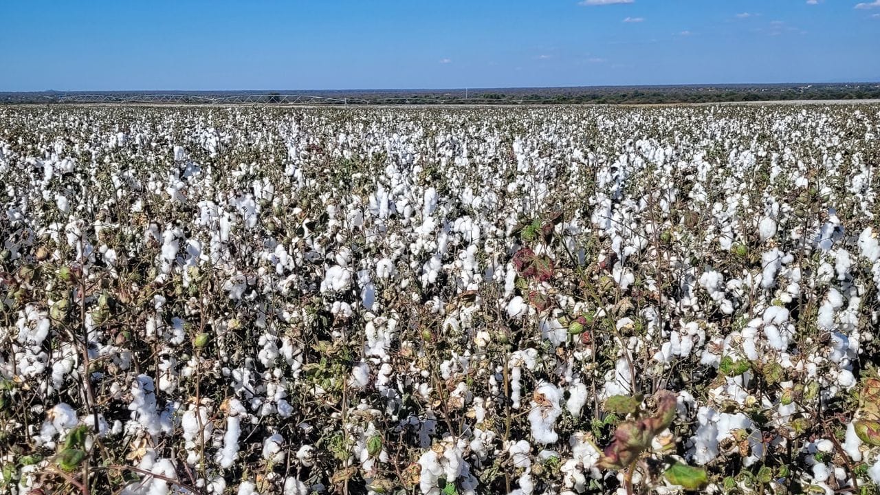 Ministry of Textiles Strengthens MSP Preparedness Ahead of Kharif ...