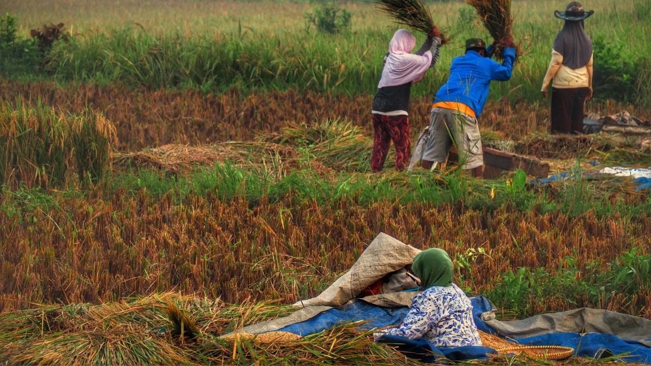 Centre Eases ‘Per Drop More Crop’ Rules, Gives States More Power to ...
