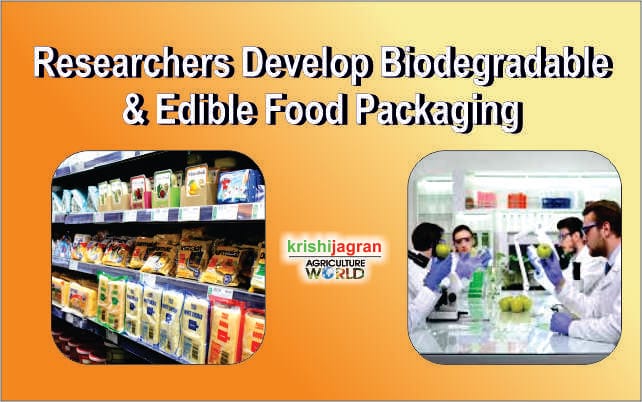 Researchers Develop Biodegradable & Edible Food Packaging