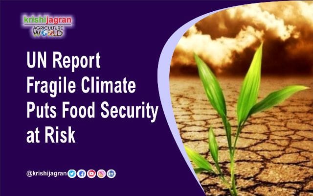 UN Report: Fragile Climate Puts Food Security at Risk