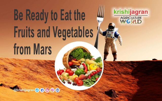 Be Ready to Eat the Fruits and Vegetables from Mars