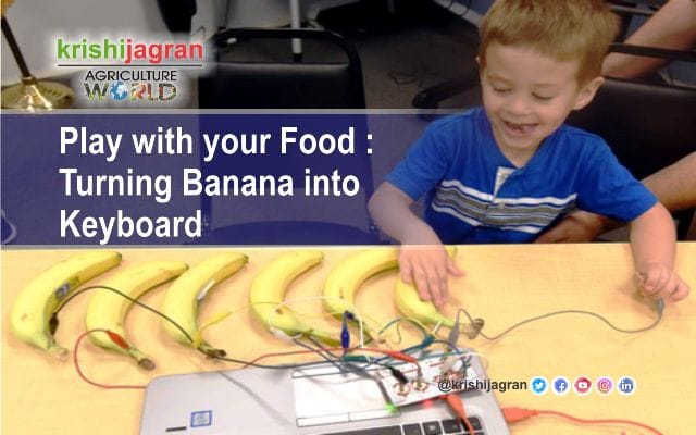 Play with your Food: Turning Banana into Keyboard