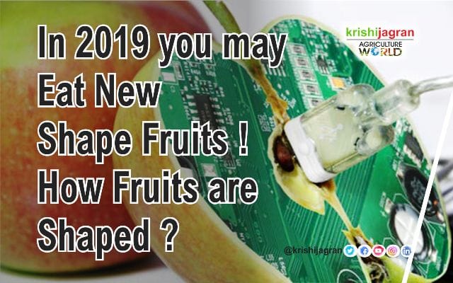 In 2019 you may Eat New Shape Fruits !How Fruits are Shaped