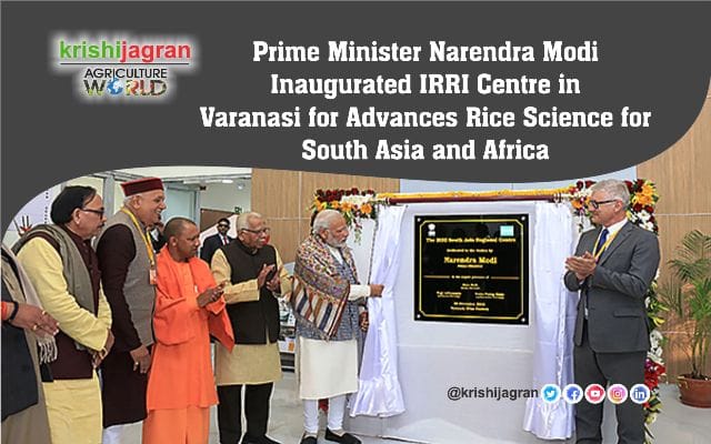 Prime Minister Narendra Modi Inaugurated IRRI Centre in Varanasi for ...