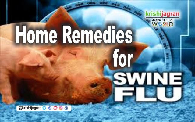 Who can get Swine Flu and How to treat it at Home?