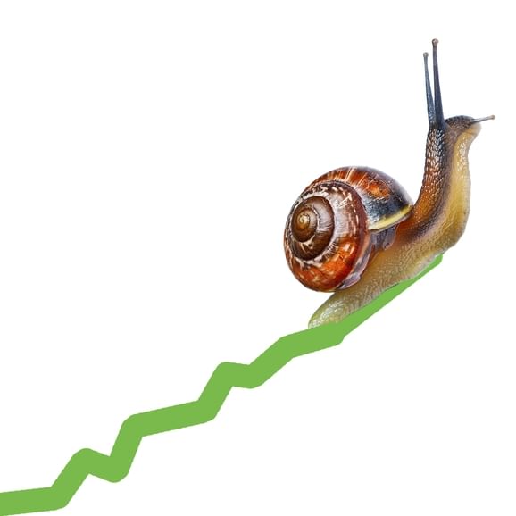 New MSP Declared by government