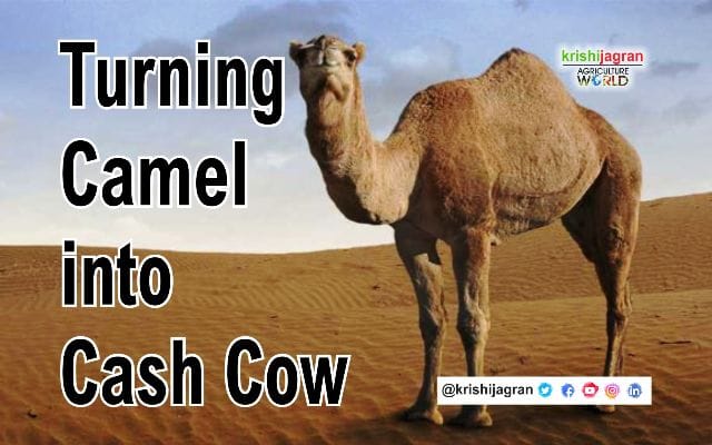 Scientist Entrepreneur Meet held on Camel Milk Processing