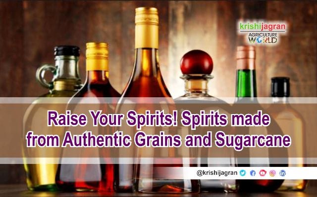 Raise Your Spirits! Spirits made from Authentic Grains and Sugarcane