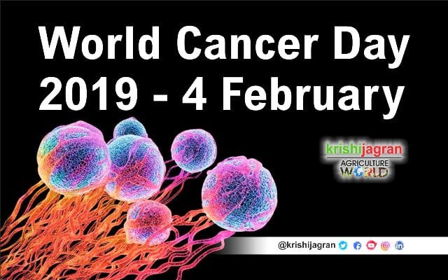 World Cancer Day 2019: Avoid these 9 Cancer-causing Foods
