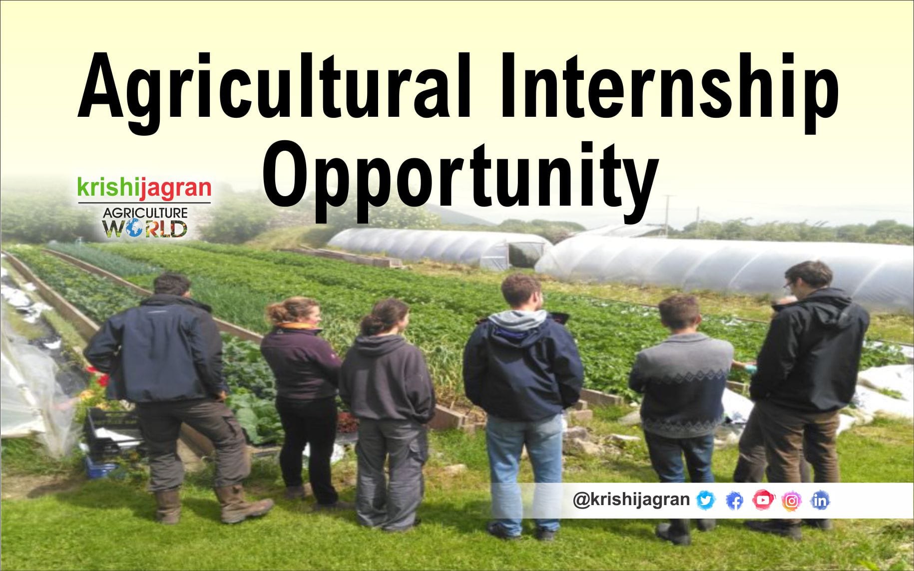 Agricultural Internship Opportunity at Organic Farms in Himachal